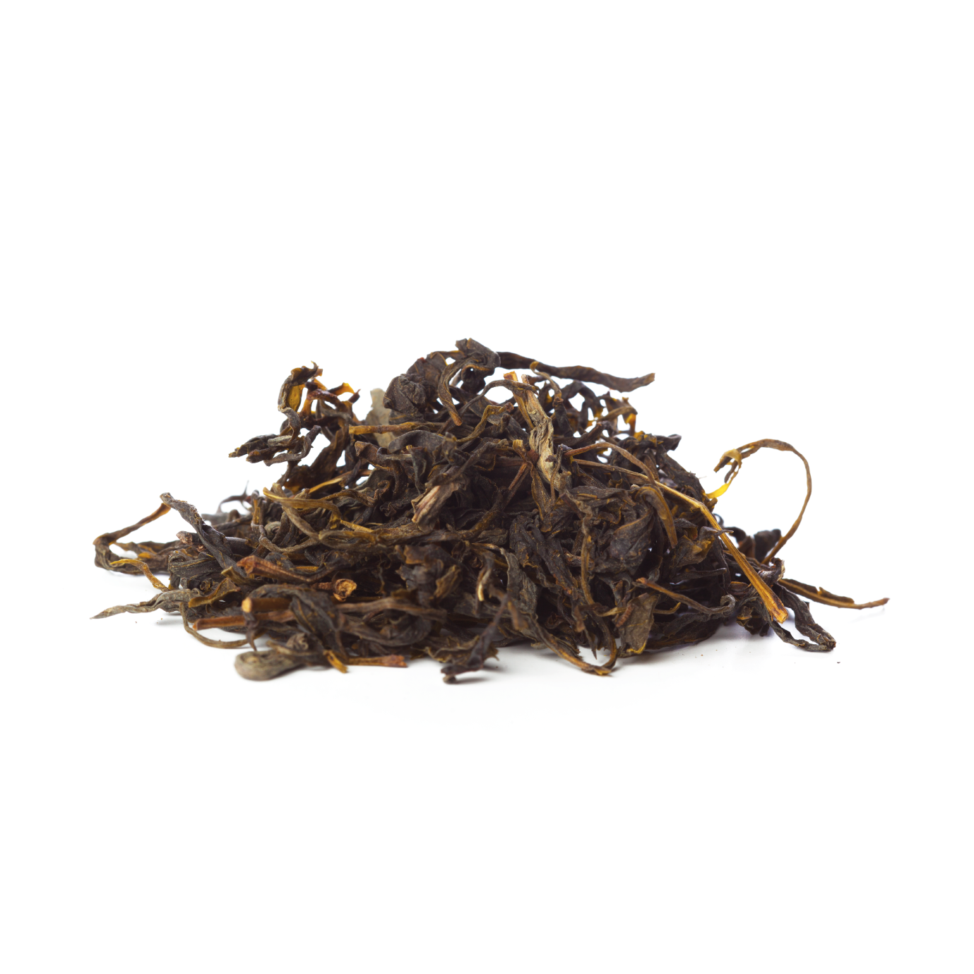 Lucy Memory – Omonwell