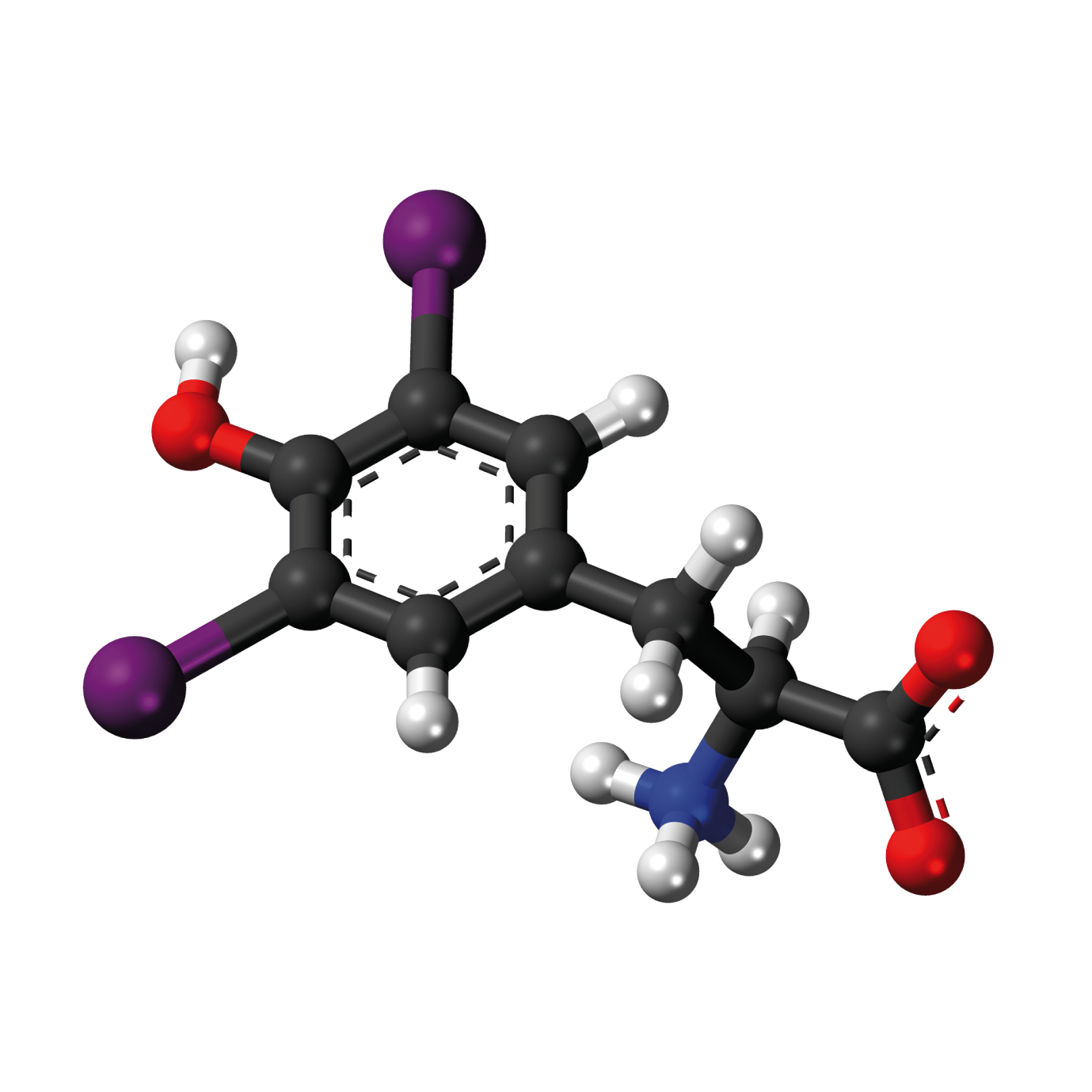 Lucy Memory – Omonwell